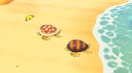 Motif Tortue | Animal Crossing New Horizons | Animal Crossing New ...